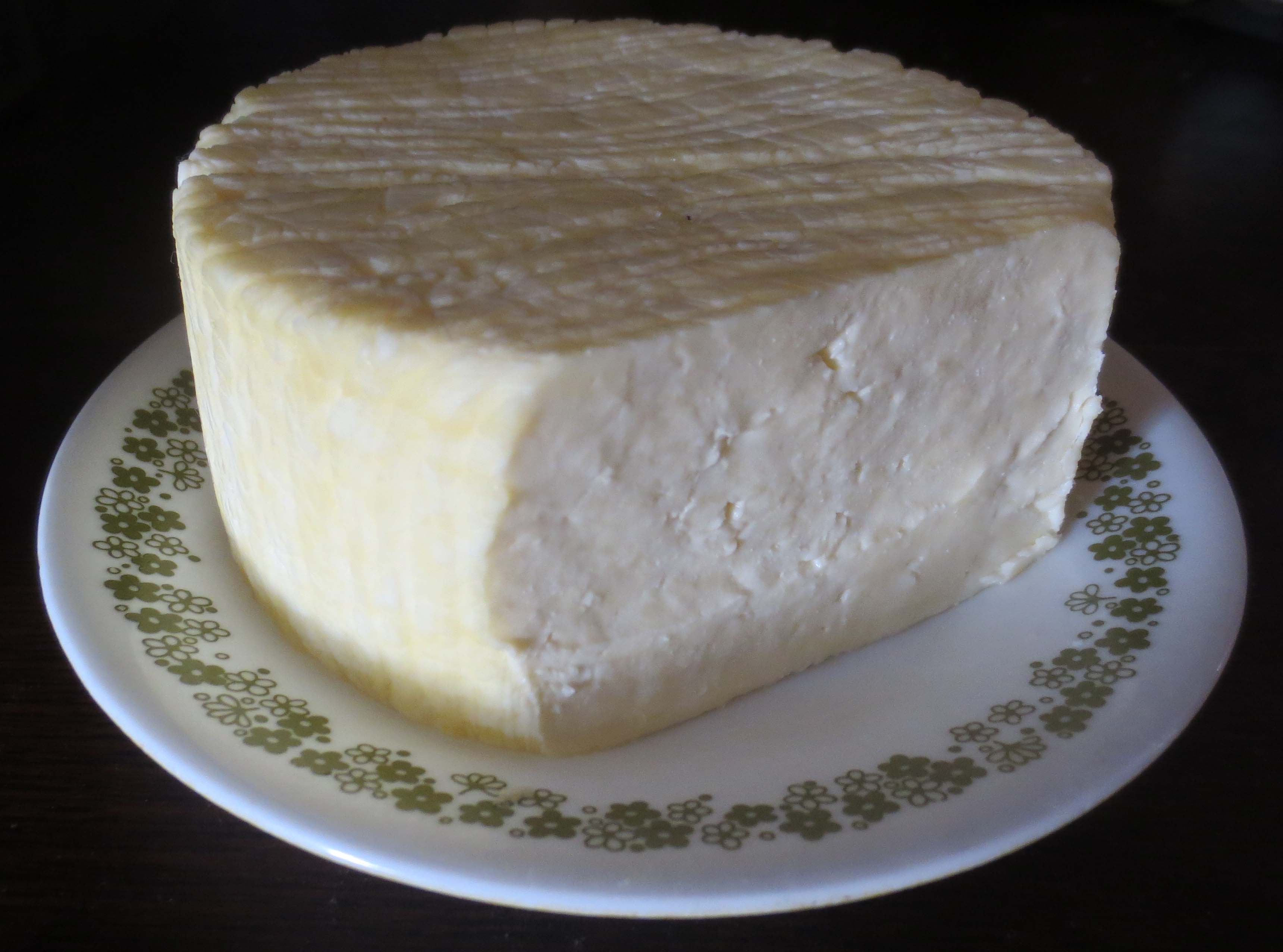 freshcheese - Nancy J. Hayden